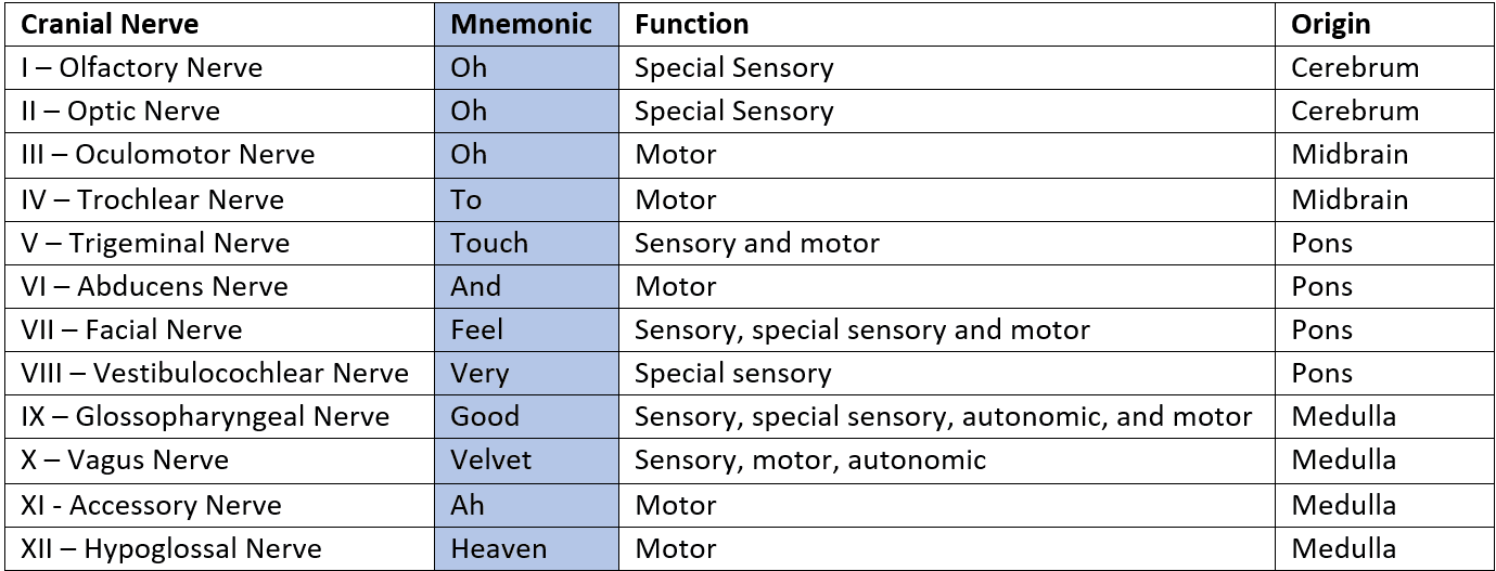 7 Cranial Nerves I VI SimpleMed Learning Medicine Simplified
